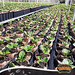 Yaucono Ground Coffee, Arabica, Medium Roast, Puerto Rico, 10 Ounce Can (Pack of 1)