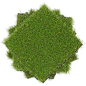 Waterproof Outdoor Turf Grass for Pets Indoor/Outdoor 1x1 Artificial Grass Tile Set for Backyard, Patio, Garage, 1' x 1', Green