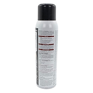 JT Eaton 217 Bed Bug Killer Plus, Non-Staining Water-Based Insect Spray for Indoors (17.5 oz)