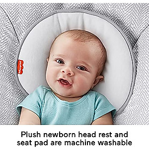 Fisher-Price See & Soothe Deluxe Bouncer - Hearthstone, soothing baby seat for infants and newborns [Amazon Exclusive]