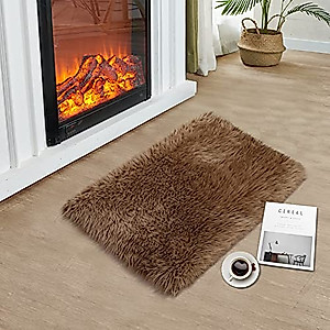 GlowSol Khaki Shaggy Area Rug Soft Solid Faux Fur Area Rug for Bedroom Living Room Plush Floor Carpet for Kids Room Shag Fuzzy Rug ( Khaki, 3×5 ft, Rectangle )