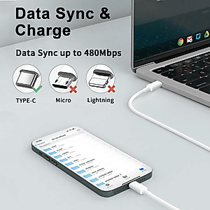 100W USB C to USB C Cable 10FT USB C Charger Cable 2Pack USB C Cord Fast Charging USB Type C Compatible with iPhone 16/15/Samsung/Android/Huawei/Google/Switch/MacBook/iPad and other USB-C port devices