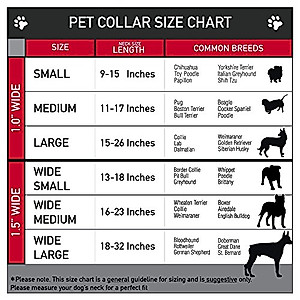 Buckle-Down Seatbelt Buckle Dog Collar - Pinkie Pie Balloons - 1" Wide - Fits 11-17" Neck - Medium