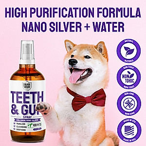 SILVER GRADE Teeth & Gum Spray for Dogs and Cats ● Dental Formula for Dog Mouth Rinse & Cat Mouth Care ● Cat & Dog Fresh Breath, Clean Teeth, No Pain Or Burning ● Dog Plaque and Tartar Remover (4 Oz)