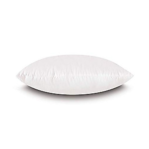 Plankroad Home Décor 15x21 Hypoallergenic Luxury 100% Small Feather Rectangular Pillow Insert, 100% Cambric Cotton Shell, Never Vacuum-Packed, Odorless, Made in USA, Set of 2