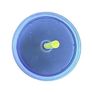 Starbucks 2023 Winter Acrylic Purple Floral Venti 24 oz Tumbler