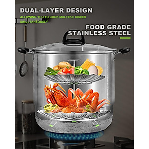 LANVIYA Vegetable Steamer Basket,2 Layer Large Capacity Food Steamer for Cooking,Stainless Steel Folding Expandable Steamers to Fit Various Size Pot,Multi-function Kitchen Basket for Baby Food