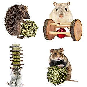 ERKOON New 12 Pack Hamster Chew Toys Gerbil Rat Guinea Pig Chinchilla Chew Toys Accessories, Natural Wooden Dumbbells Exercise Bell Roller Teeth Care Molar Toy for Rabbits Bird Rabbits Hamster Gerbil