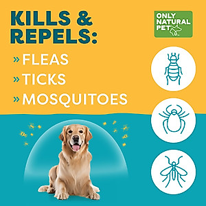 Only Natural Pet Flea and Tick Control for Large Breed Dogs (Over 40 lbs) - EasyDefense Flea & Tick Herbal Squeeze-On Drops - 3 Month Supply