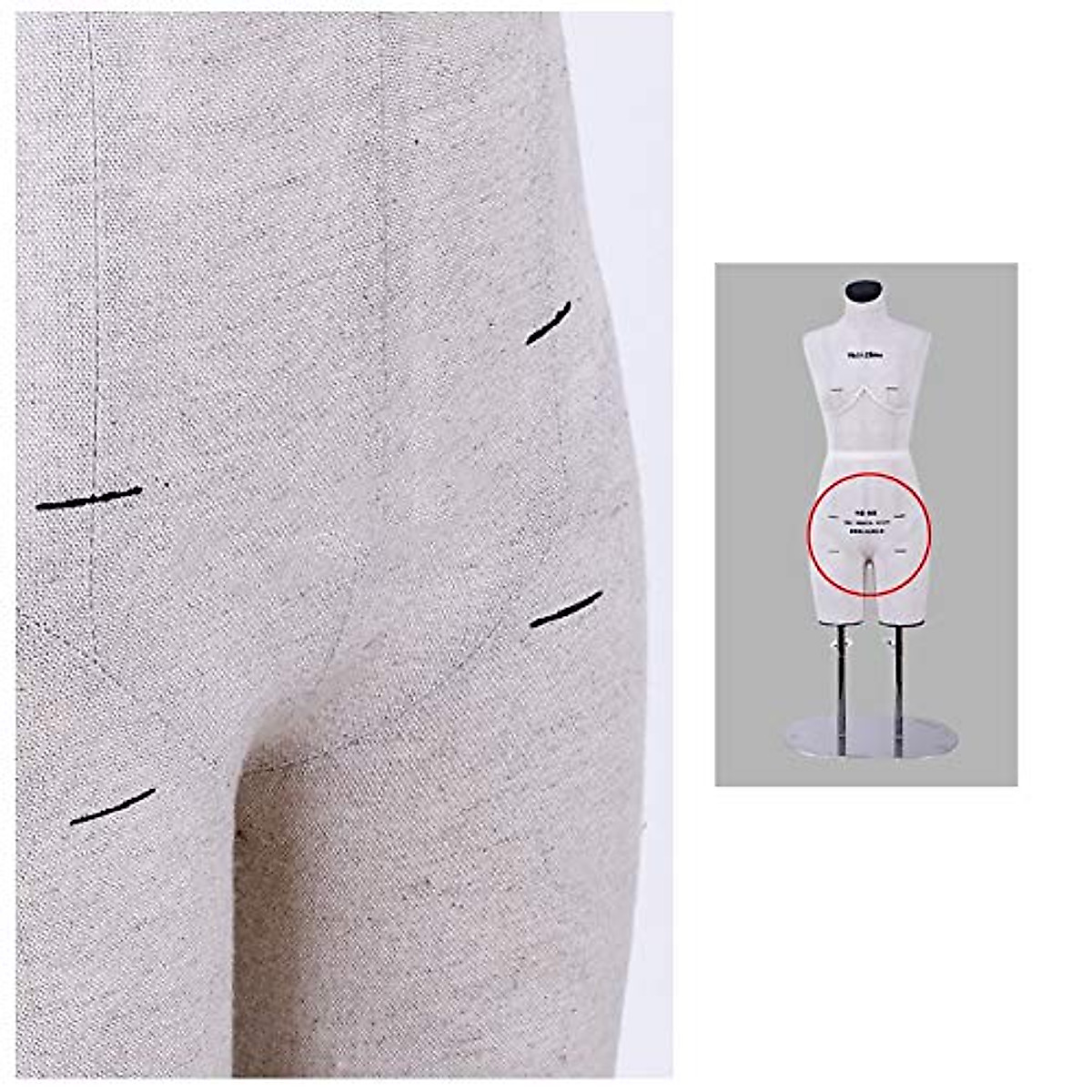 Tailors Dummy Mannequins Small Female Tailor Dummy, 1:2 Scale Dress Form Mannequin Dressmakers Manikins Adjustable Height Decoration Accessories Dressform Mannequin