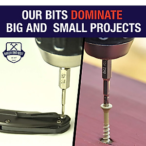 Phillips Screwdriver Drill Bit Set (Premium 12pc Complete Set) w/Storage Case and Bit Holder - 1/4in Hex Shank Magnetic Bit Set - Impact Ready - S2 Steel - Long 2in Heads for Drills. Baker and Bolt