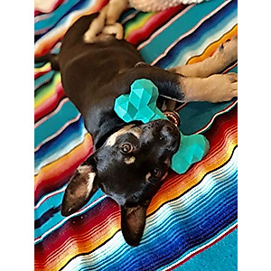 Willie Bones | Modern Dog Chew Toy | Almost Indestructible Dog Toys for Aggressive Chewers | Tough + Durable + Strong Natural Rubber Bone Toy for Small + Large Dogs + Puppy Teething | Boredom Chews