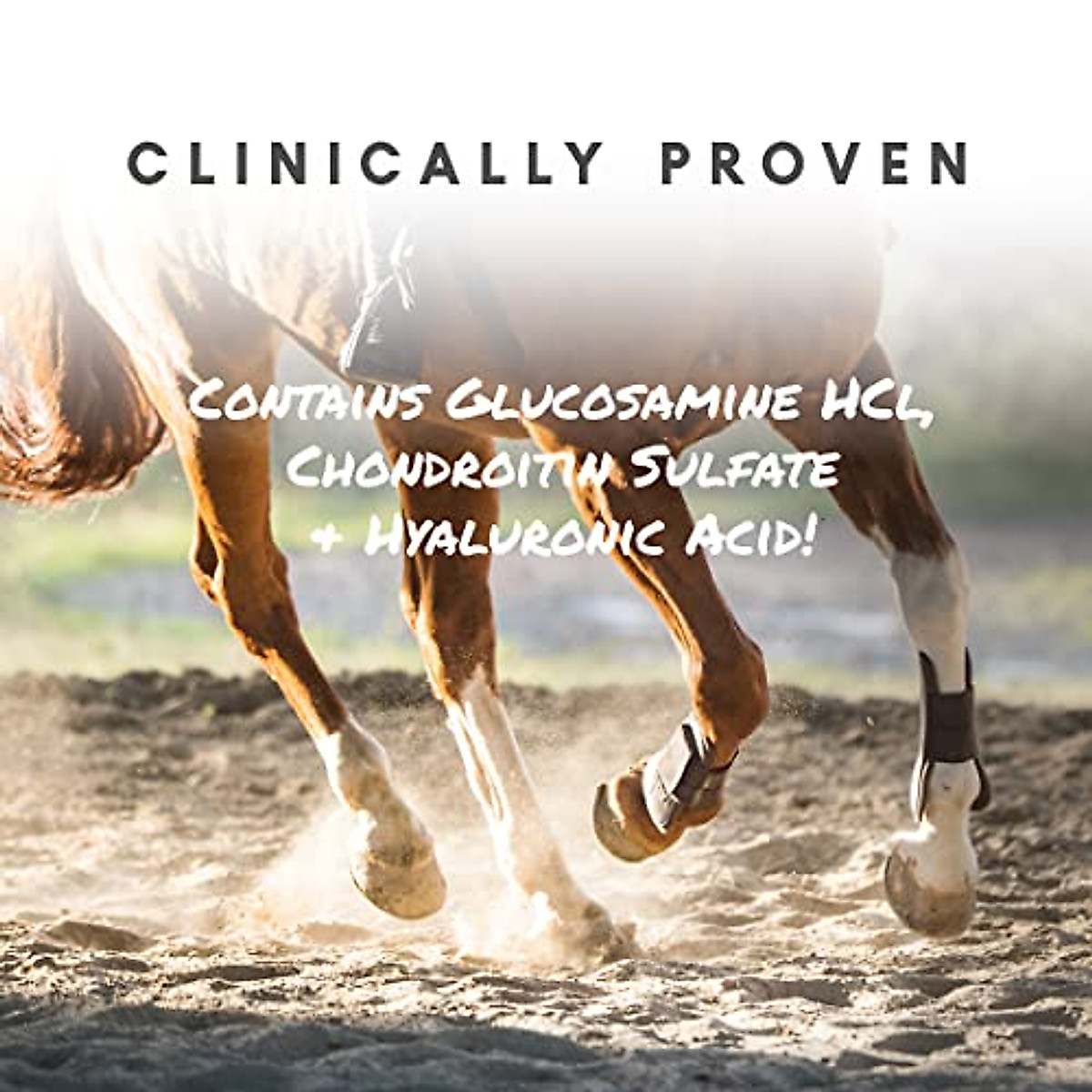 Manna Pro Rapid Flex | Fast Acting Joint Supplement for Horses | Clinically Proven Unique Patented Formula | 4 Pounds, White