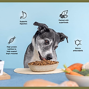 BADLANDS RANCH Superfood Complete, Air-Dried Adult Dog Food, 24 Ounce Lamb & Venison and Super Mobility Organic Supplement 90 Grams, 30 scoopsd Complete