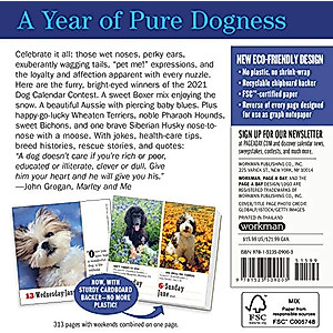 365 Dogs Page-A-Day Calendar 2021