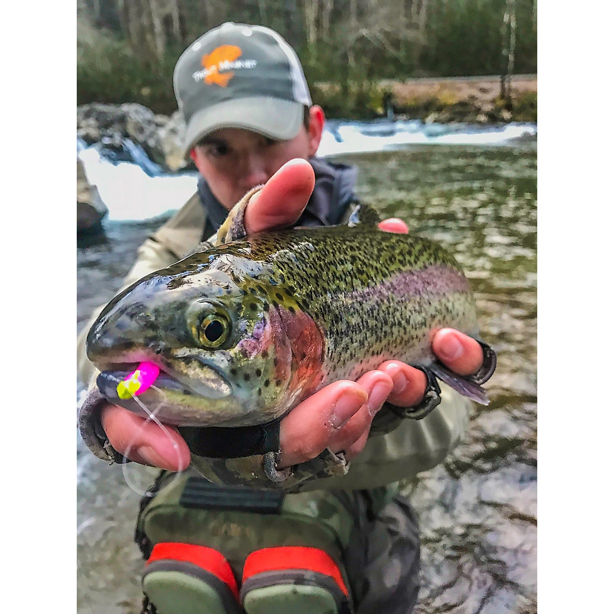 Trout Magnet Phantom 100% Fluorocarbon Fishing Leader Line, 50M (2lb, 3lb, 4lb Test), 3lb, 6X Tippet, (87480),Silver