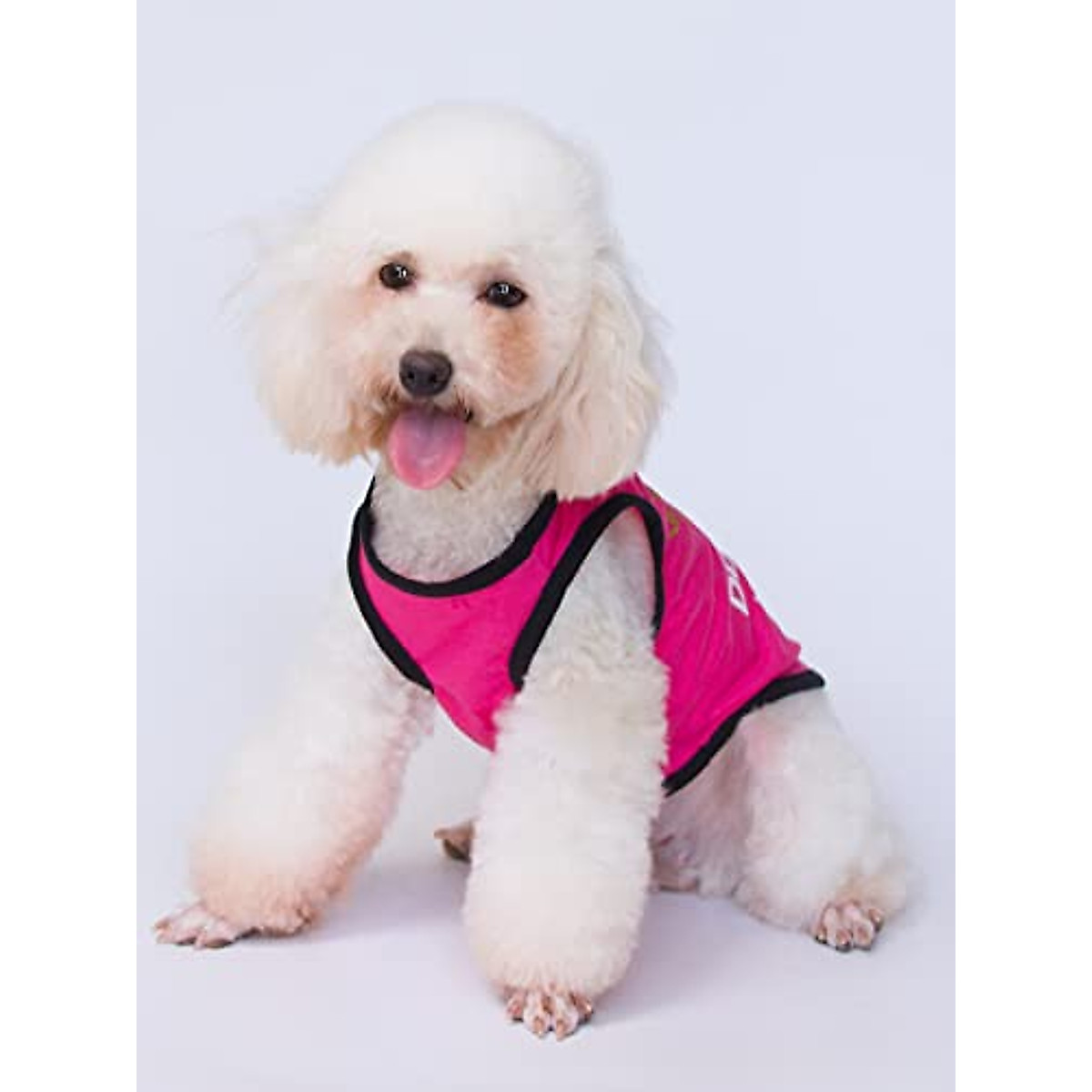 QWINEE Dog Shirt,Crown Print,Dog Vest Tank Top,Cute Puppy Clothes,Doggie Tee,Cat Dog Clothes Apparel for Small Medium Dogs Kitten Girl and Boy Multi-Colored Medium