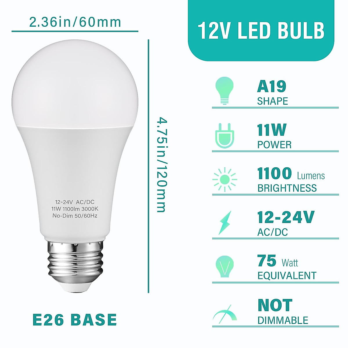 KEIVO 12 Volt Light Bulb, Warm White 3000K, 75 Watt Equivalent, 11W 1100 Lumens, AC/DC 12-24V Low Voltage Led Bulbs, A19 E26 Standard Base, Bright Bulbs for RV, Off Grid Cabin, Camper, 2 Pack