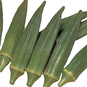 Park Seed Jambalaya Okra Seeds, Includes 30 Seeds in a Pack