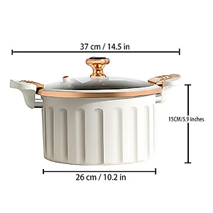 Olla de presion Non-stick Enamel Micro Pressure Cooker,Enamel Lining Pressure Cooker Non-Stick Push Pull Lock Pressure Pot with Lid Silicone Seal Spill-Proof Valve Pressure Pot,White