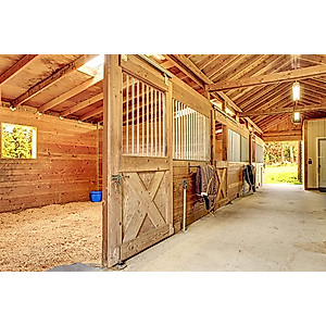 Country Vet Farmgard Permethrin Concentrate - 1 Quart (Case of 6) 343961CVA - Gets Rid of Flies, Mosquitoes, Silverfish, Cockroaches, Fleas, Millipedes, Gnats, Fruit Flies, Ticks, Lice, Spiders