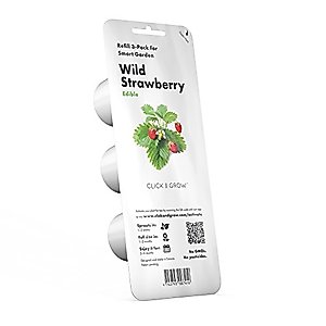 Click and Grow SGR24x3 Smart Garden Wild Strawberry Plant Pods, 3-Pack