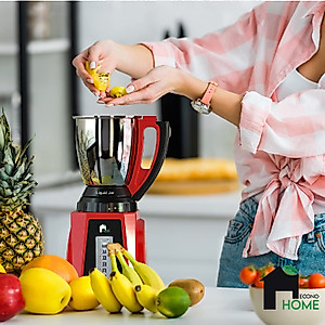 EconoHome Mixer Grinder - Electric Mixer Grinder for Asian Cooking, Food Prep - Includes Liquidizing Jar, Dry & Wet Grinder Jar, Chutney Jar, Lids & Spatula - 750W Motor, Stainless Steel 304 Blades