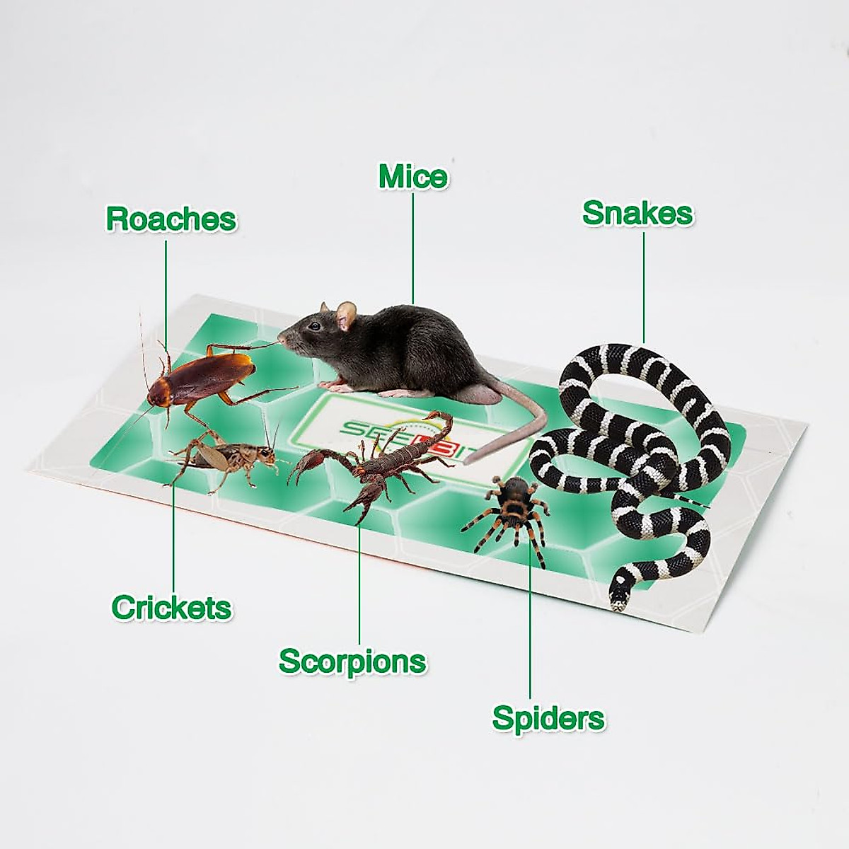 10 PCS Large Glue Trap Strips for Trapping Insects, Mice, Spiders, Bugs, Crickets, Scorpions, Roaches, Super Sticky & Non-Toxic Glue Boards Pre-Baited with Fruity Scent Attractant - 12 x 6 in