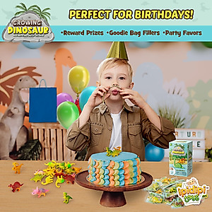 IPIDIPI TOYS Water Growing Dinosaur Toys for Kids - 30 Pack Dinosaur Party Favors for Kids, Goodie Bag Stuffers, Piñata Stuffers, School Prize Box Toys for Boys, Growing Animals in Water