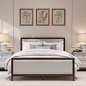 DG Casa Salerno Solid Wood Platform Bed Frame with Nailhead Trim - Queen Bed Frame with Adjustable Headboard, Full Wooden Slats, No Box Spring Needed - Queen Upholstered Bed Frame in Natural Fabric