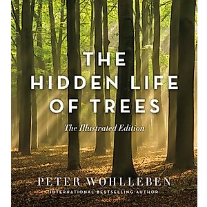 The Hidden Life of Trees: The Illustrated Edition (David Suzuki Institute)