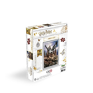 Prime 3D | Warner | Harry Potter | 300 Piece 3D Jigsaw Puzzle for Adults & Kids | Finished Size 18" x 12" | Challenging & Fun for Kids & Families | Immersive 3D Lenticular Effect