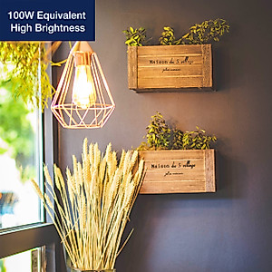 FLSNT LED Edison Bulbs 100W Equivalent, ST19 Dimmable Vintage LED Light Bulbs, 2450K Warm White, 8W, 900LM, E26 Base, Amber Glass, 6 Pack