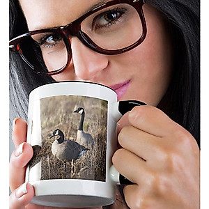 3dRose USA Oregon Basket Slough NWR Pair of Canada Geese Two Tone Mug, 11 oz, Black