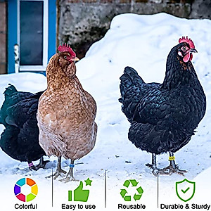 Keedolla 100Pcs 16mm Chicken Leg Rings 5 Colors Numbered Chicken Identification Leg Bands, Poultry Leg Bands Chicken Foot Rings for Ducks Chicks Bantam Guinea Pigeons Goose Gamefowl - Medium