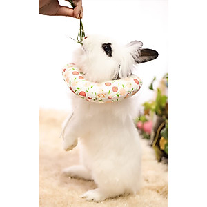 Adjustable Rabbit Protection Cone Collar,Soft Pet Recovery Collar for Rabbits/Chinchilla/Guinea Pigs/Kittens After Surgery Wound Healing,Elizabeth Neck E-Collar for Small Animals (XS, Pink Cherry)