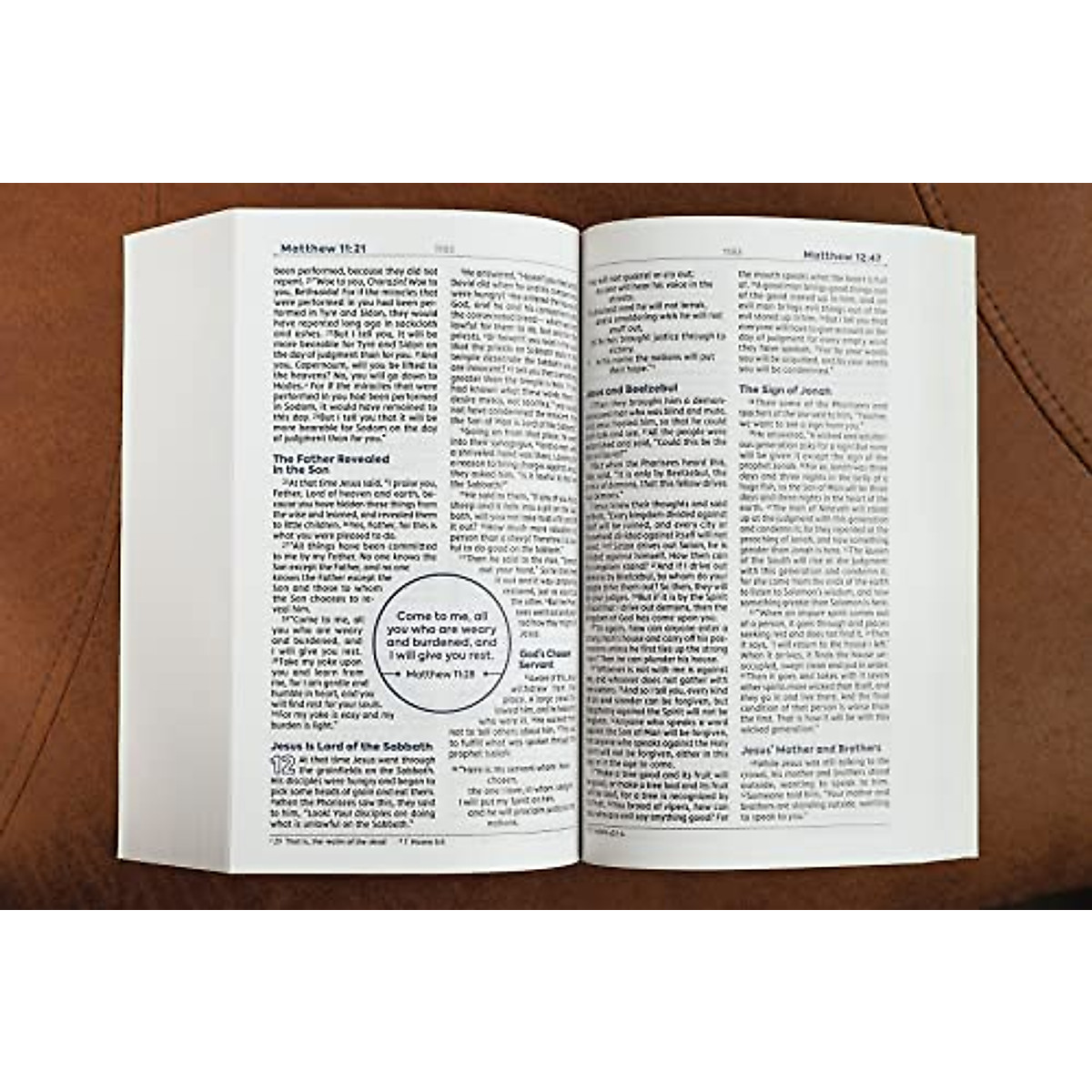 NIV, Teen Study Bible (For Life Issues You Face Every Day), Paperback, Comfort Print