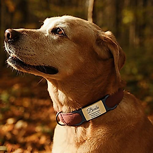 JATEBI 2 Pack Personalized Dog Tag, Slide-On Pet ID Tags,Stainless Steel Dog Tags, No Jingle Slide on Cat ID Tag, Custom Engraved No Noise Animal Identification Tag(L Black)…