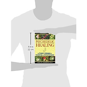 Psychedelic Healing: The Promise of Entheogens for Psychotherapy and Spiritual Development