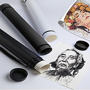 Ecjiuyi Poster Tubes,2Pack Extendable Poster Tube Expand from 24.5" to 40" with Adjustable Shoulder Strap Lids and Lable,Waterproof Telescoping Blueprint Art Document Storage Transport Carrying Tube