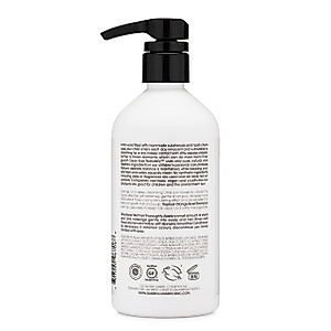 Clean Kids Naturally Tropical Orange Burst Shampoo, All-Natural, Gluten-free, Vegan, and Cruelty-free, Paraben-free, 16 oz, EWG Verified (1 Bottle)