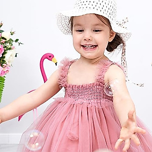 Miipat Baby Girls Tulle Dress Sleeveless Floral Butterfly Tutu Dress Toddler Girls Birthday Party Princess Dresses(DarkPink, 18-24M)