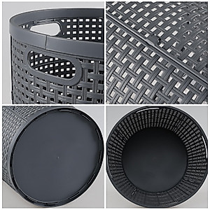 Parlynies Plastic Laundry Basket, Portable Clothes Hamper for Toys, Dirty Clothes, Grey, F