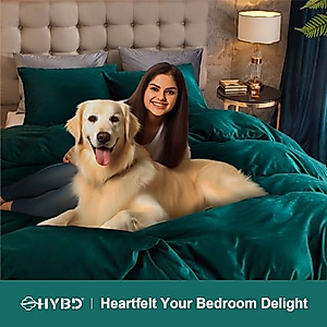 HYBD Soft Velvet Duvet Cover Queen Size - Breathable and Lightweight Warm Duvet Cover Set 3 Pieces with Zipper Closure, Washable & Durable, 1 Duvet Cover 90x90 inches and 2 Pillow Shams, Emerald Green