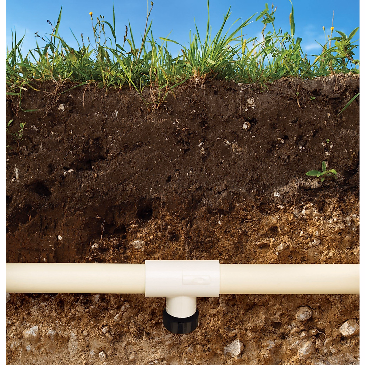 Rain Bird 16AFDVC1 Sprinkler System Filtered Drain Valve, 1/2" Male Pipe Thread ,Black