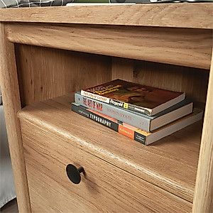 Sauder Dover Edge Engineered Wood Night Stand in Timber Oak Finish