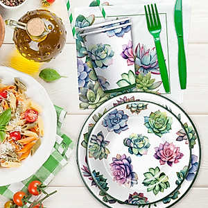 Xigejob Succulent Party Decorations Tableware - Succulent Baby Shower Decorations Dinnerware, Plate, Cup, Napkin, Fork, Cactus Succulent Party Supplies For Birthday Bridal Shower Wedding | Serve 24