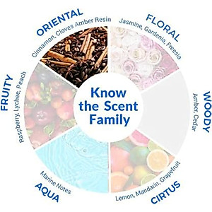 Jaguar Classic Black Eau De Toilette Spray 3.4 Oz/ 100 Ml for Men By 3.4 Fl Oz