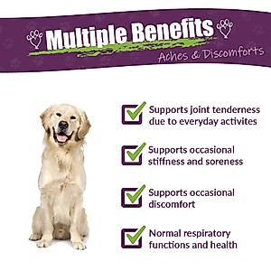 Amber NaturalZ Adizone Herbal Supplement for Dogs | Canine Herbal Supplement for Occasional Soreness, Stiffness, Aches and Discomfort | 1 Fluid Ounce Glass Bottle | Manufactured in The USA