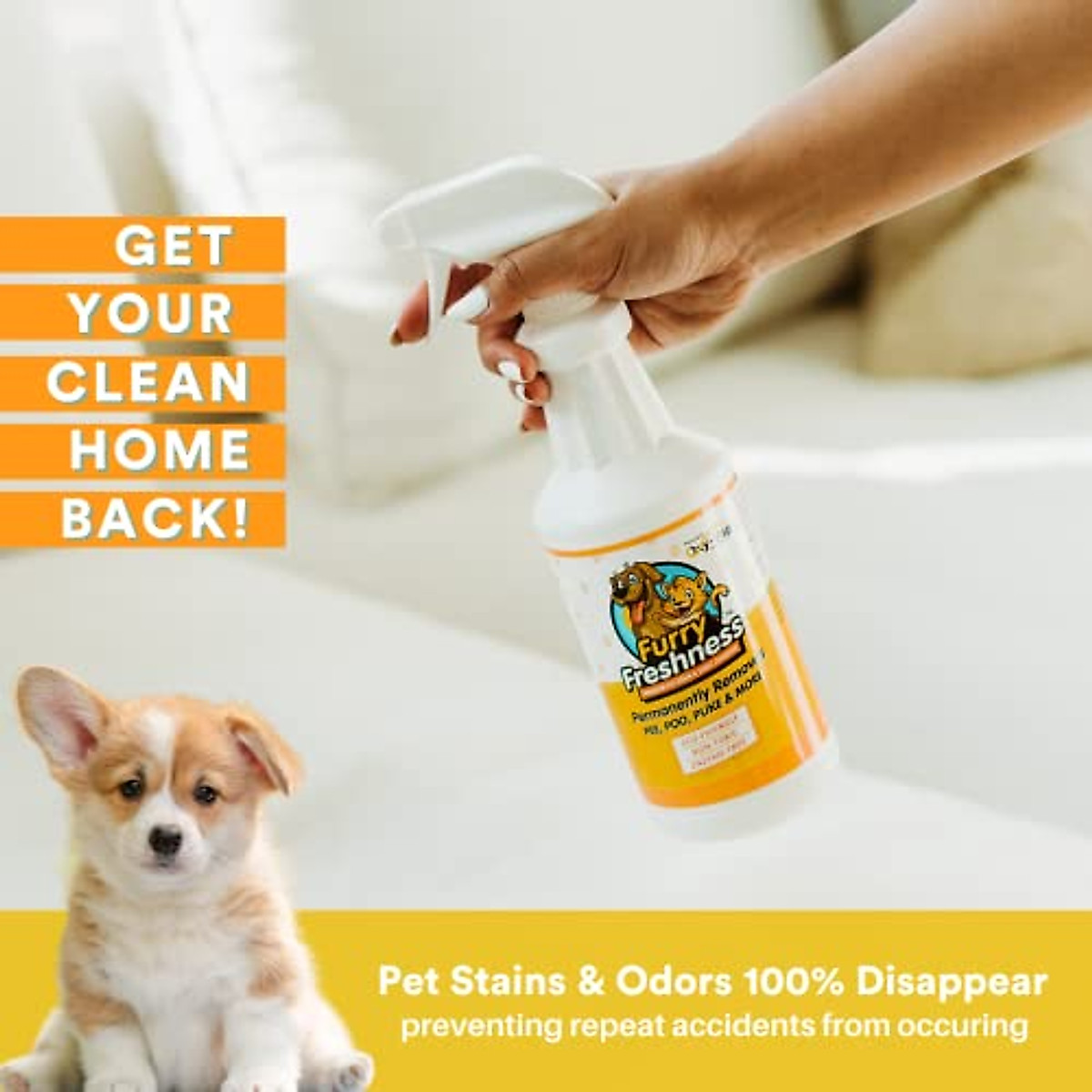 FurryFreshness Extra Strength Cat or Dog Pee Stain & Permanent Odor Remover + Smell Eliminator -Removes Stains from Pets & Kids Including Urine or Blood- Lifts Old Carpet Stains- 32oz Spray
